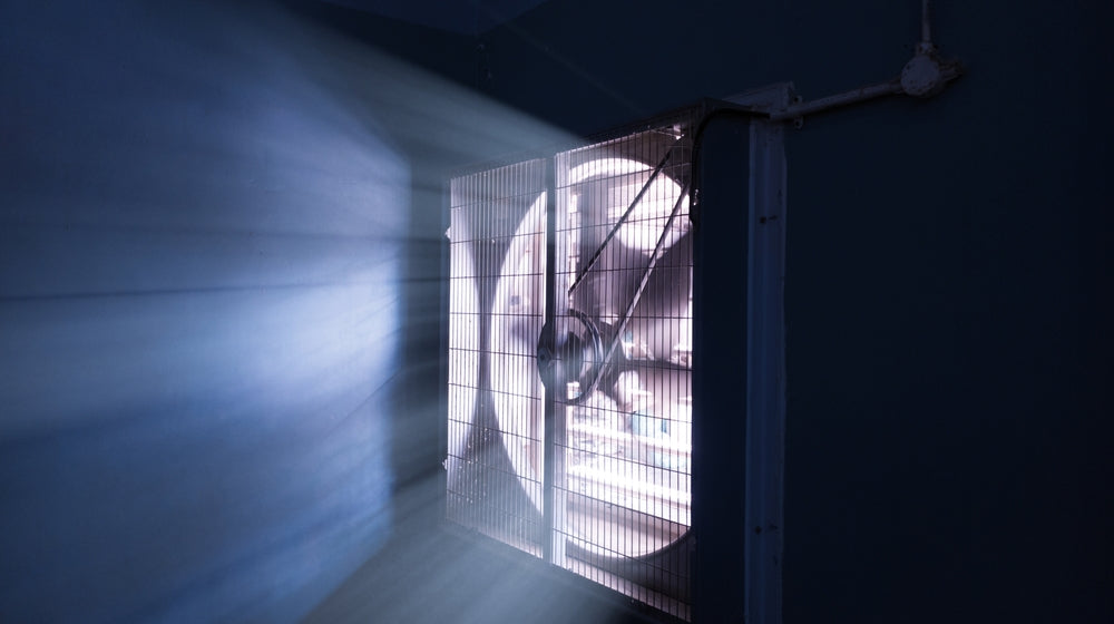 The Key Differences Between Fans and Blowers: Choosing the Right One ...